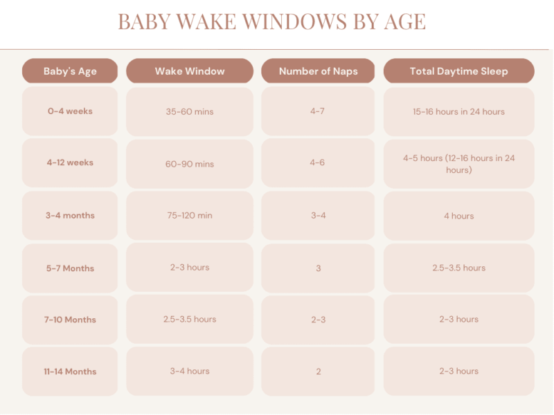 How to Identify Newborn Sleep Cues Vs Hunger Cues - Transitions of ...
