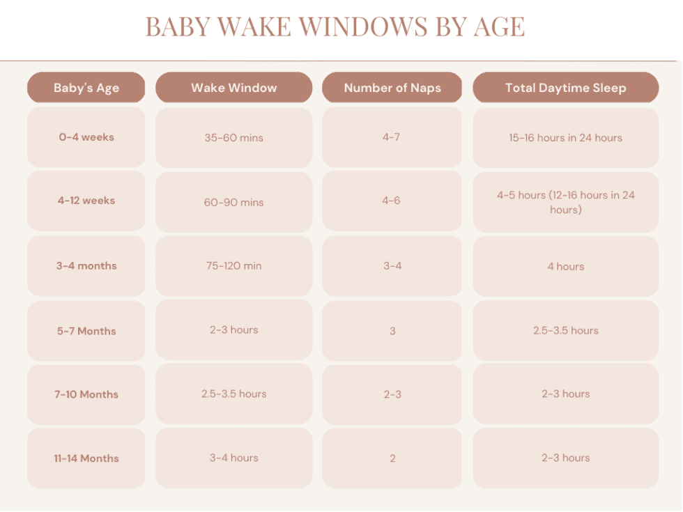 How to Identify Newborn Sleep Cues Vs Hunger Cues - Transitions of ...